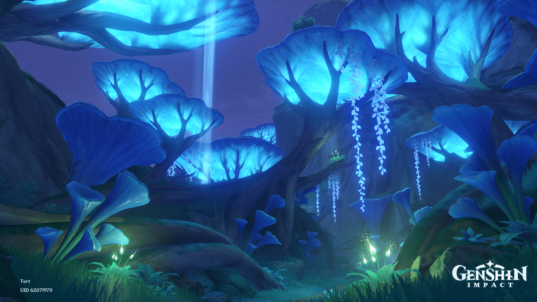 Sightings in Sumeru Genshin Impact | HoYoLAB