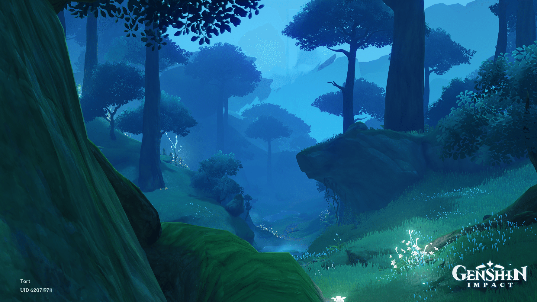 Sightings in Sumeru Genshin Impact | HoYoLAB