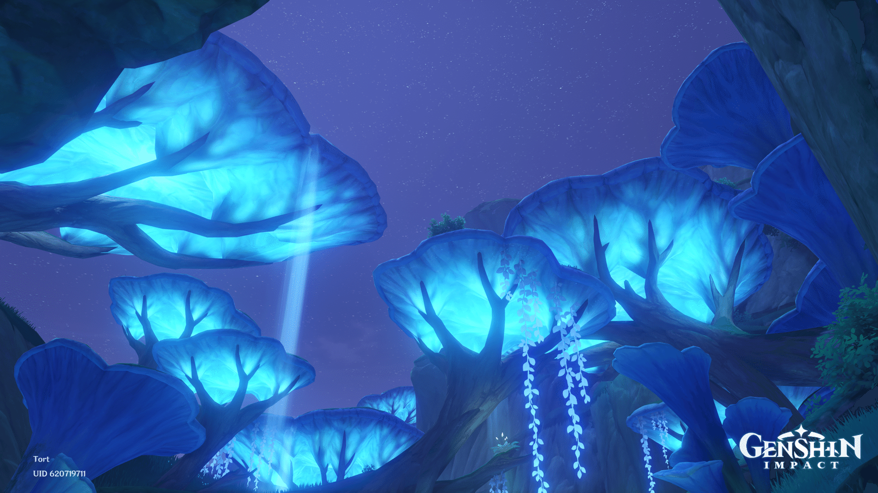 Sightings in Sumeru Genshin Impact | HoYoLAB