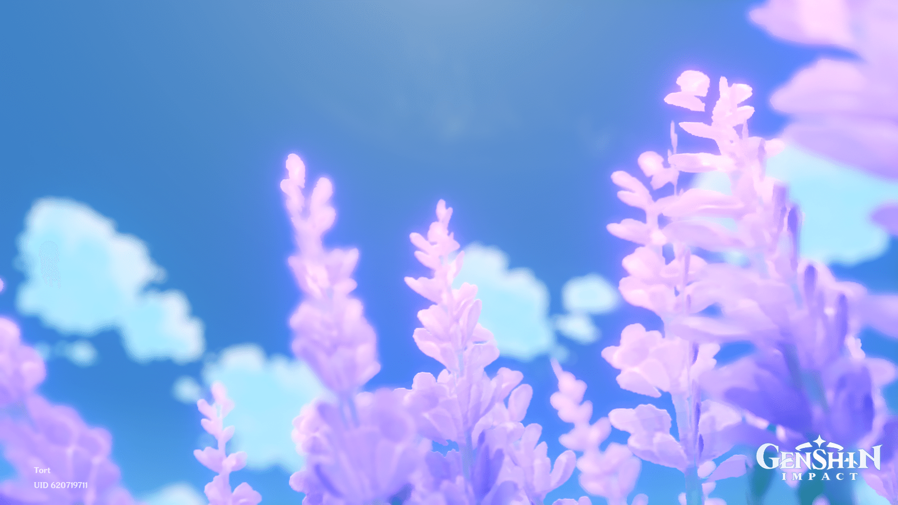 Sightings in Sumeru Genshin Impact | HoYoLAB