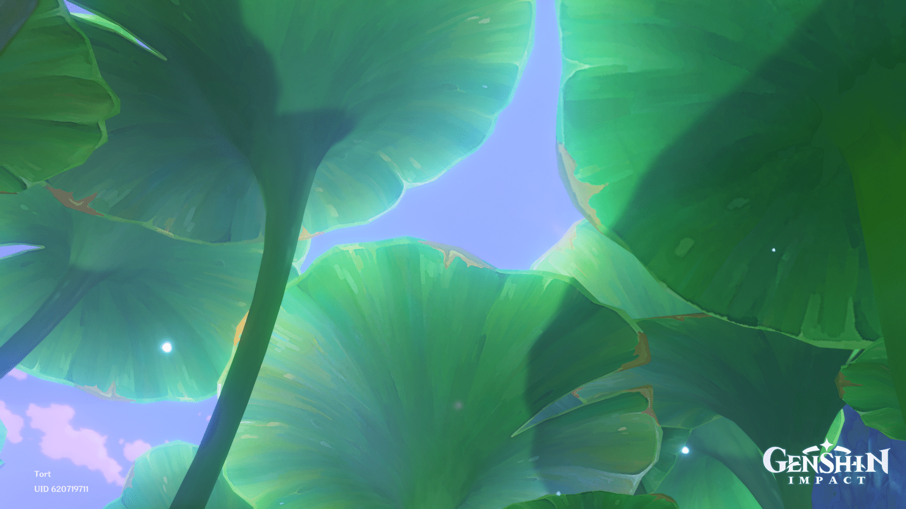 Sightings in Sumeru Genshin Impact | HoYoLAB