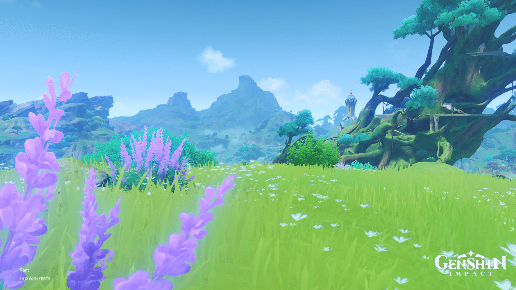 Sightings in Sumeru Genshin Impact | HoYoLAB