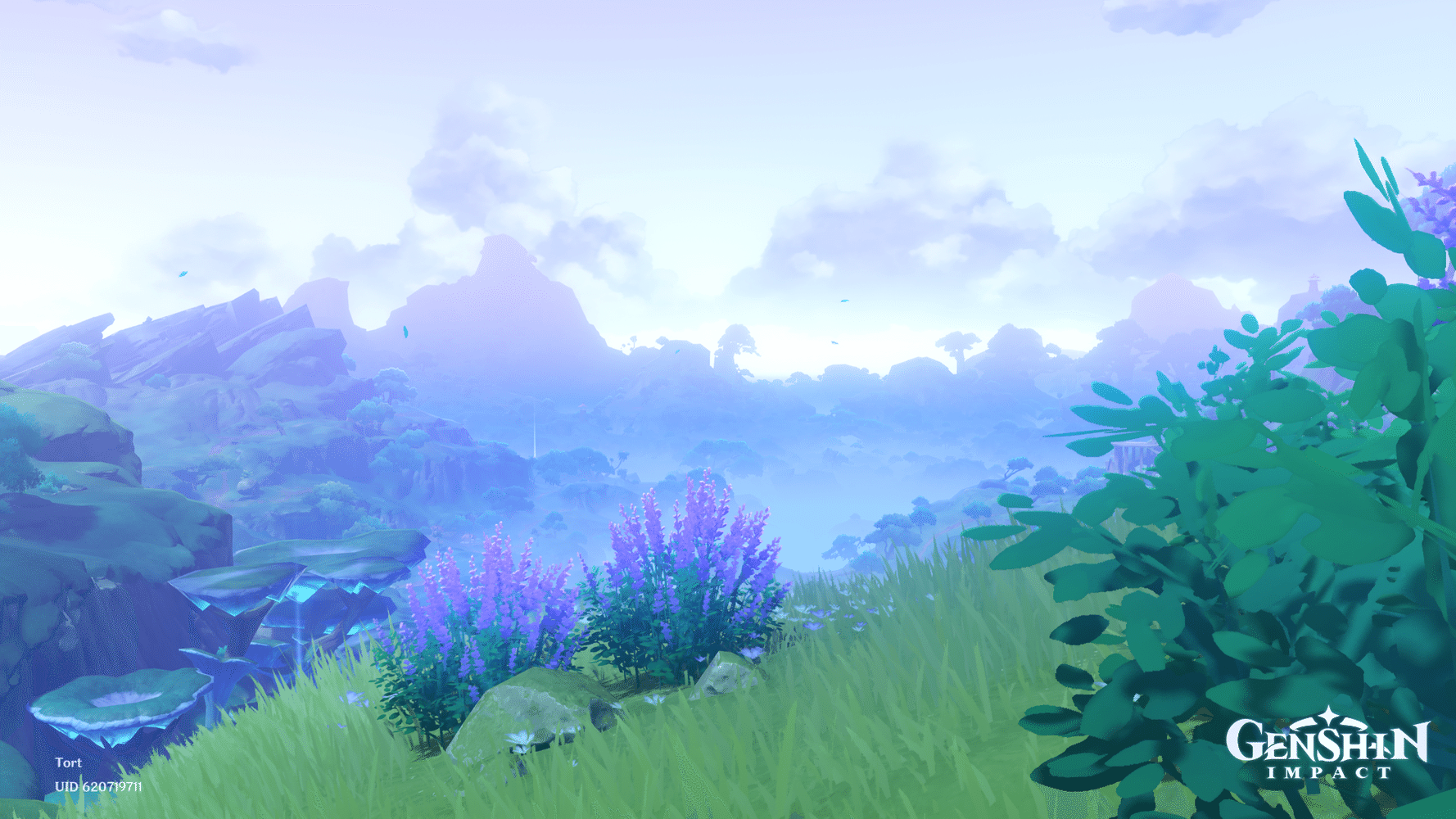 Sightings in Sumeru Genshin Impact | HoYoLAB