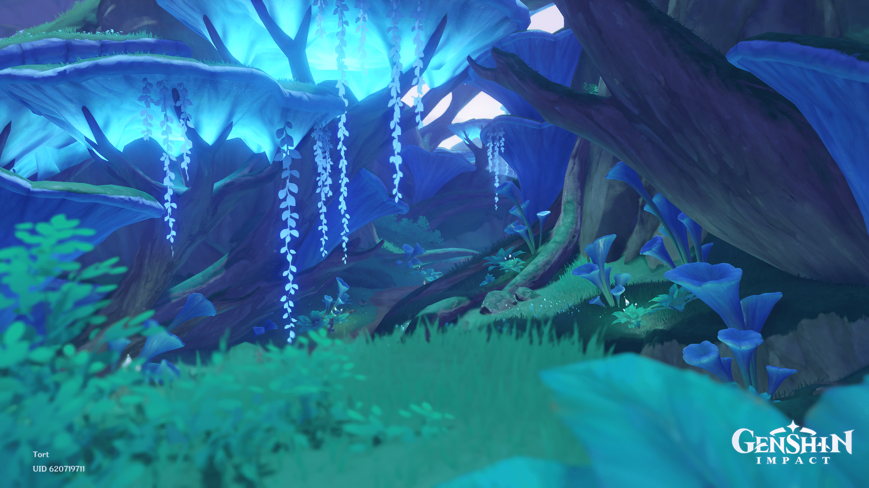 Sightings in Sumeru Genshin Impact | HoYoLAB