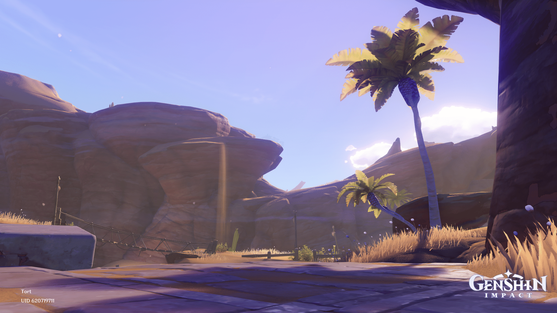 Sightings in Sumeru Genshin Impact | HoYoLAB