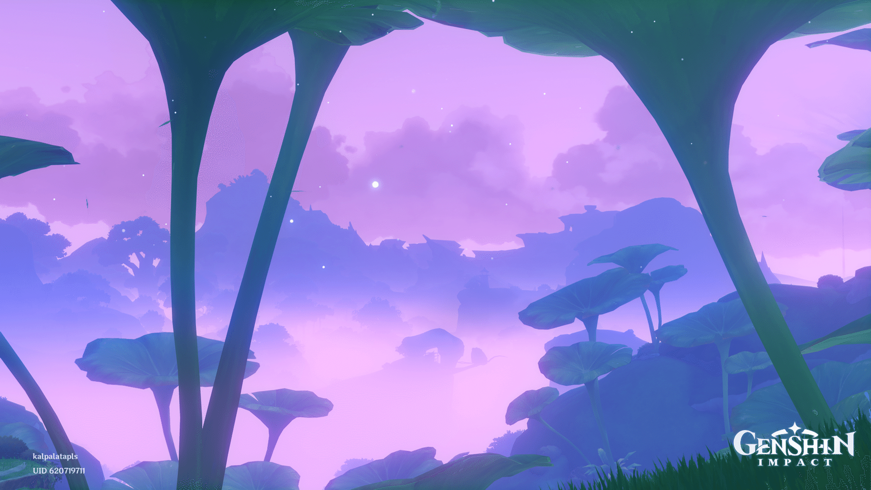 Sightings in Sumeru Genshin Impact | HoYoLAB