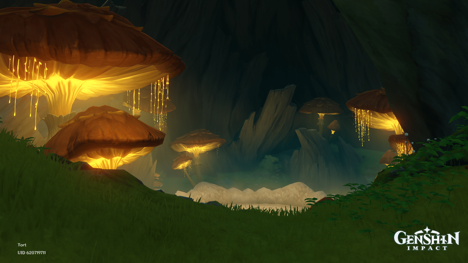 Sightings in Sumeru Genshin Impact | HoYoLAB