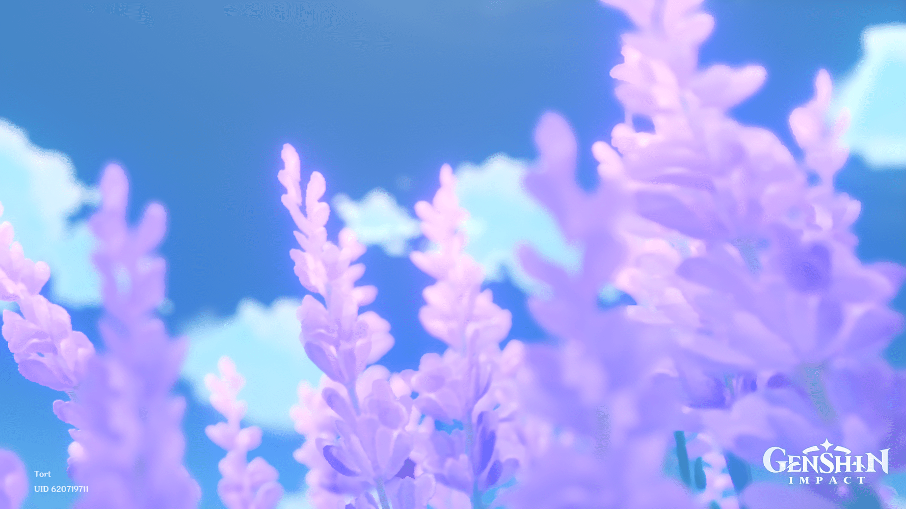 Sightings in Sumeru Genshin Impact | HoYoLAB