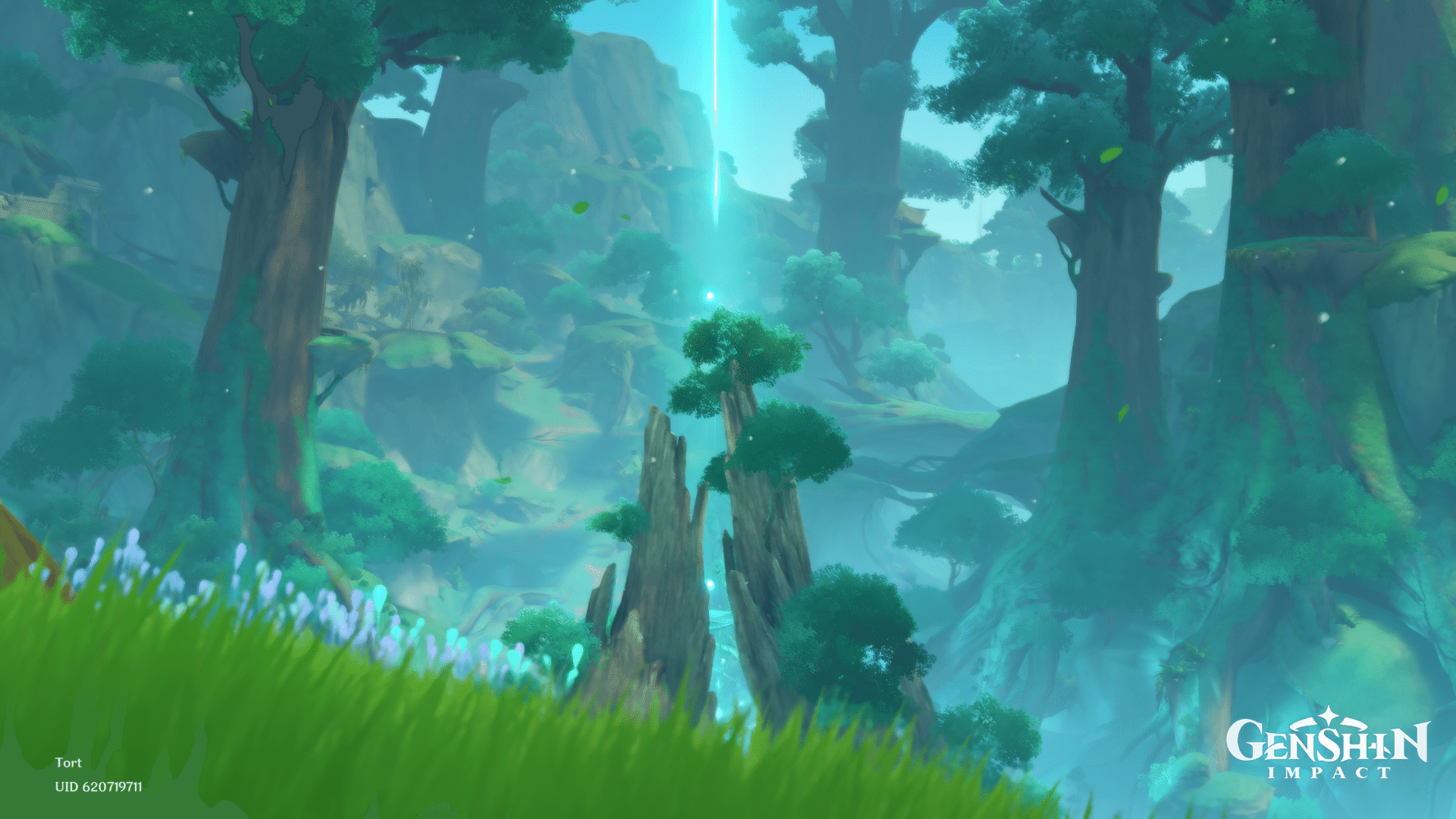 Sightings in Sumeru Genshin Impact | HoYoLAB