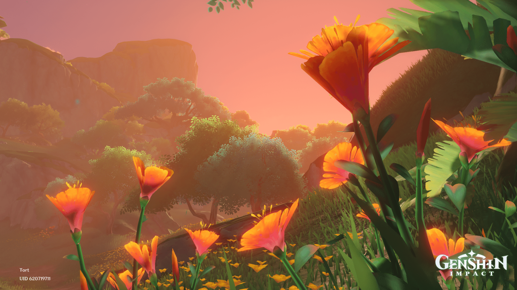 Sightings in Sumeru Genshin Impact | HoYoLAB