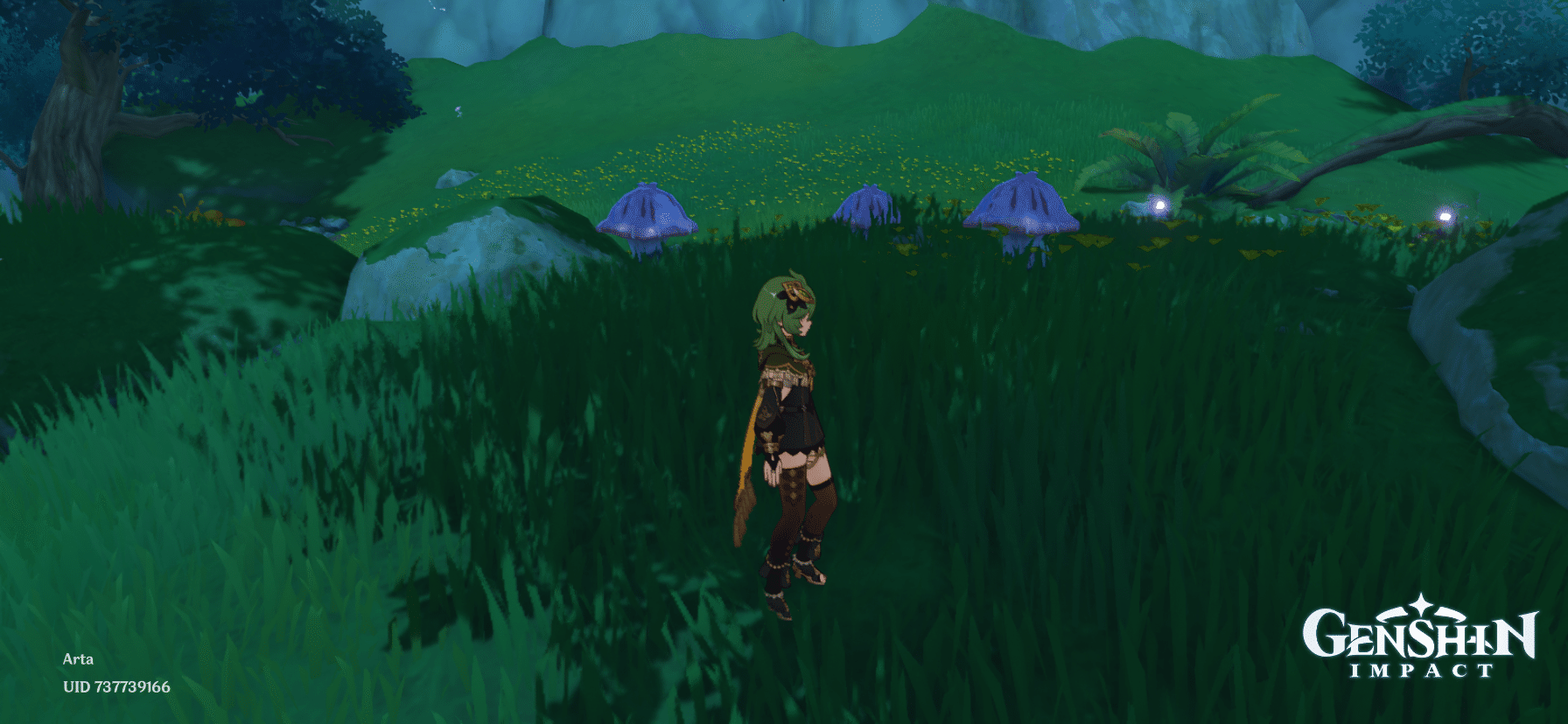 Sumeru Adventure Diary - November 24 Genshin Impact | HoYoLAB