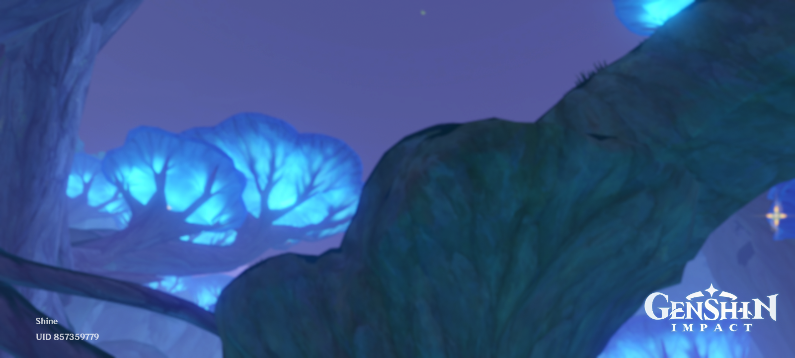 Sumeru view Genshin Impact | HoYoLAB