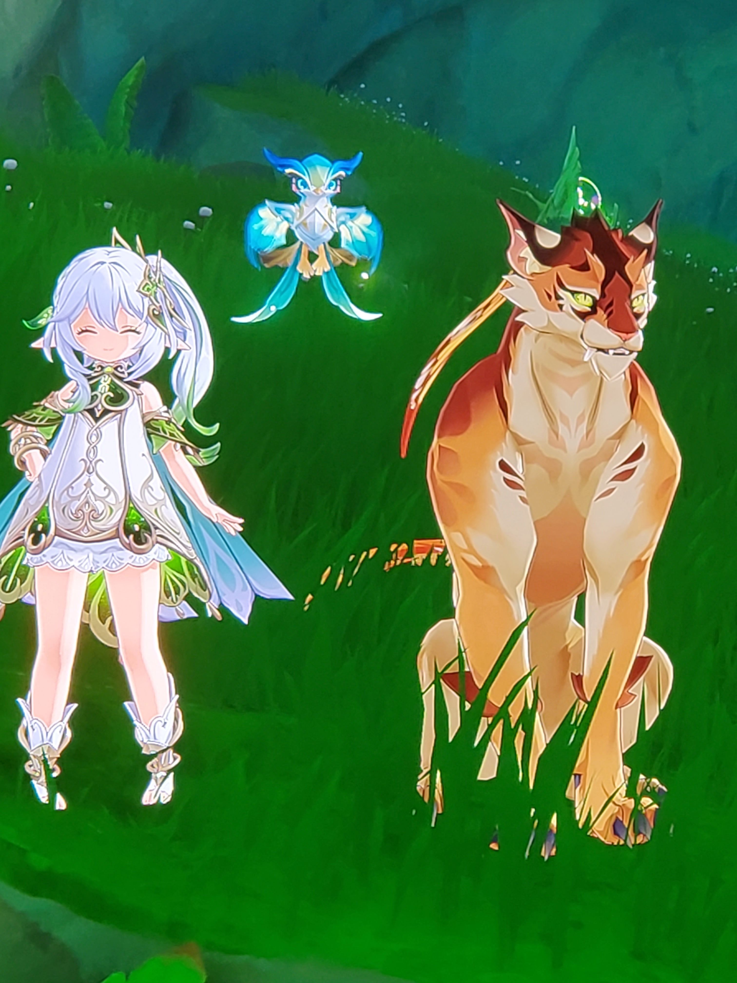 The true beast tamer Genshin Impact | HoYoLAB