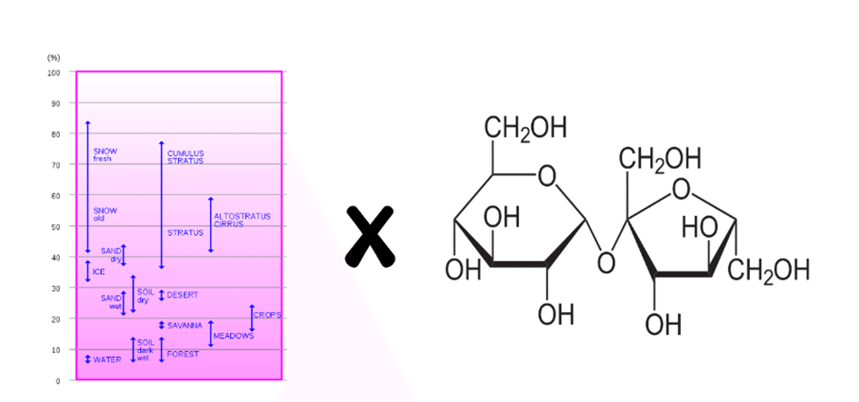 A ship riddle Genshin Impact | HoYoLAB