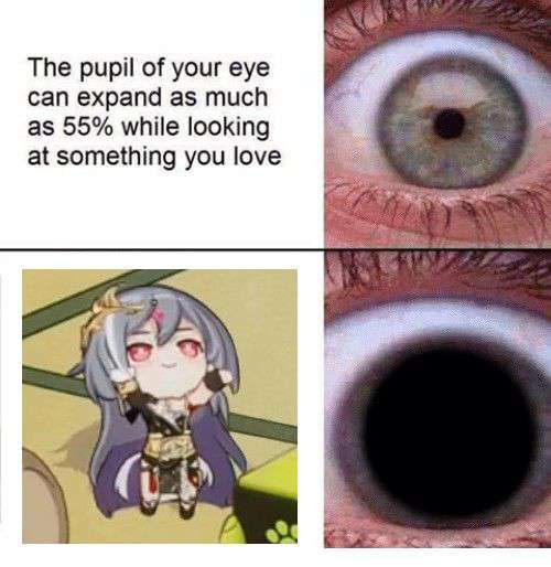 YATTA! Honkai Impact 3rd | HoYoLAB