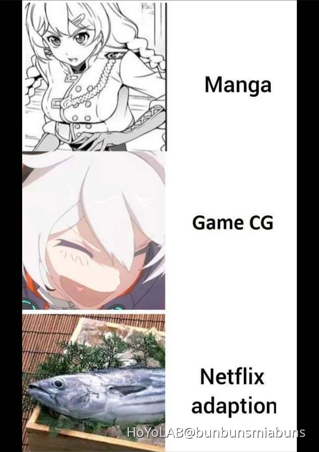 tuna meme Honkai Impact 3rd | HoYoLAB