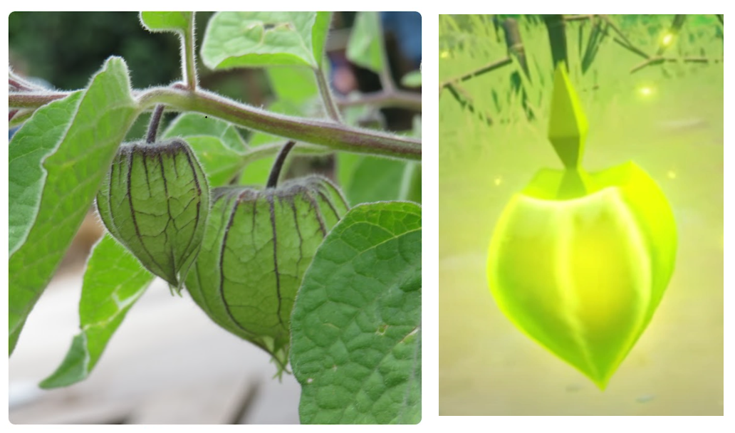 Isn't this a bloom core- Genshin Impact | HoYoLAB