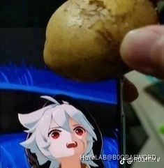 POTATO Genshin Impact | HoYoLAB