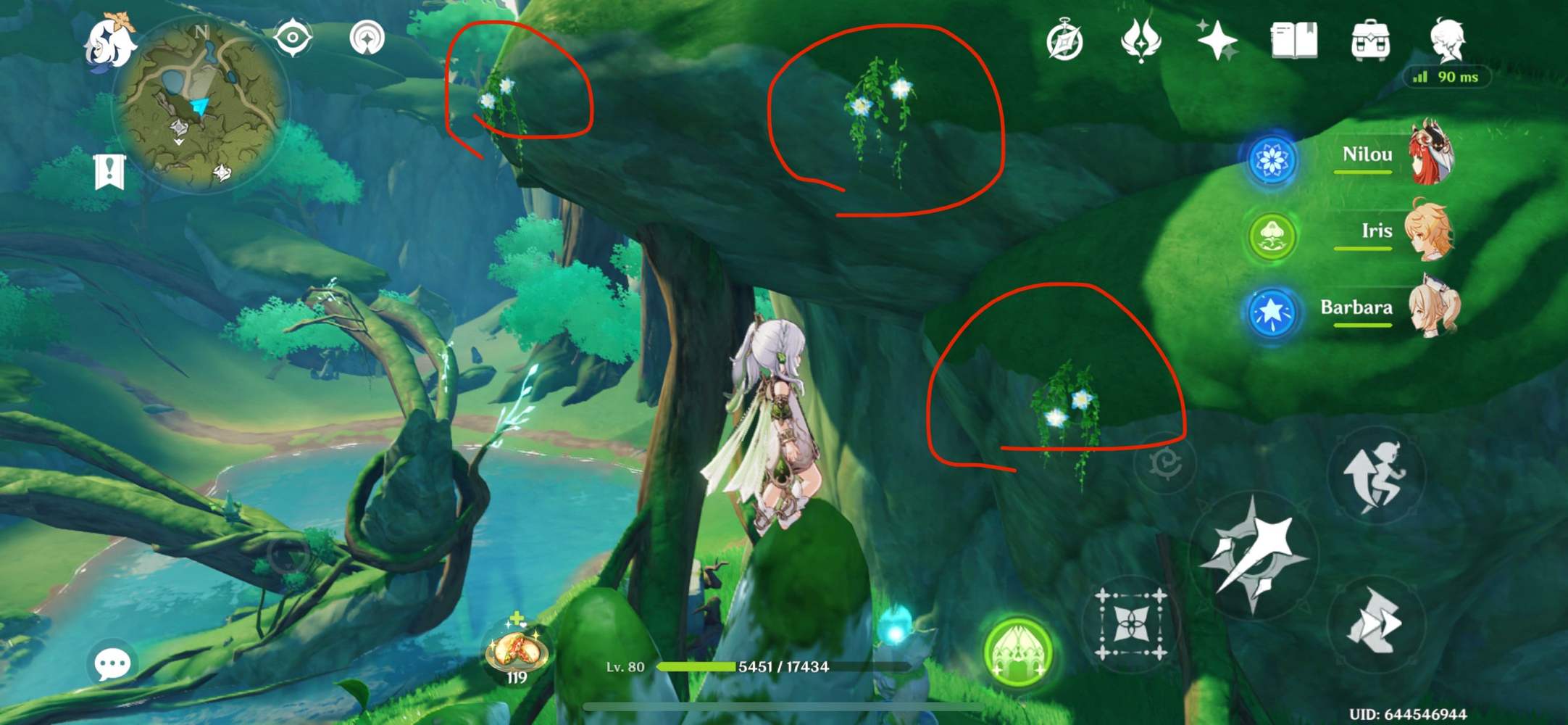 Nahida Sub DPS/ Support Build Guide And Kalpalata Lotus farming routes ...