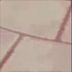 [v6.2 - The Chrono and the Hare] New Stigmata Set: Idol Transformation ...