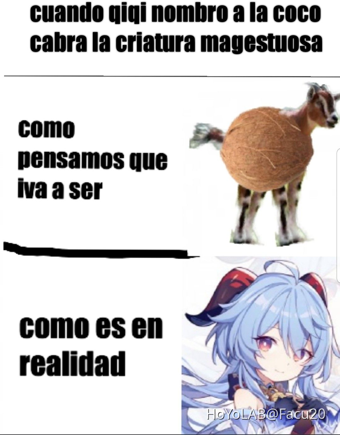 un meme de la coco cabra xd Genshin Impact | HoYoLAB