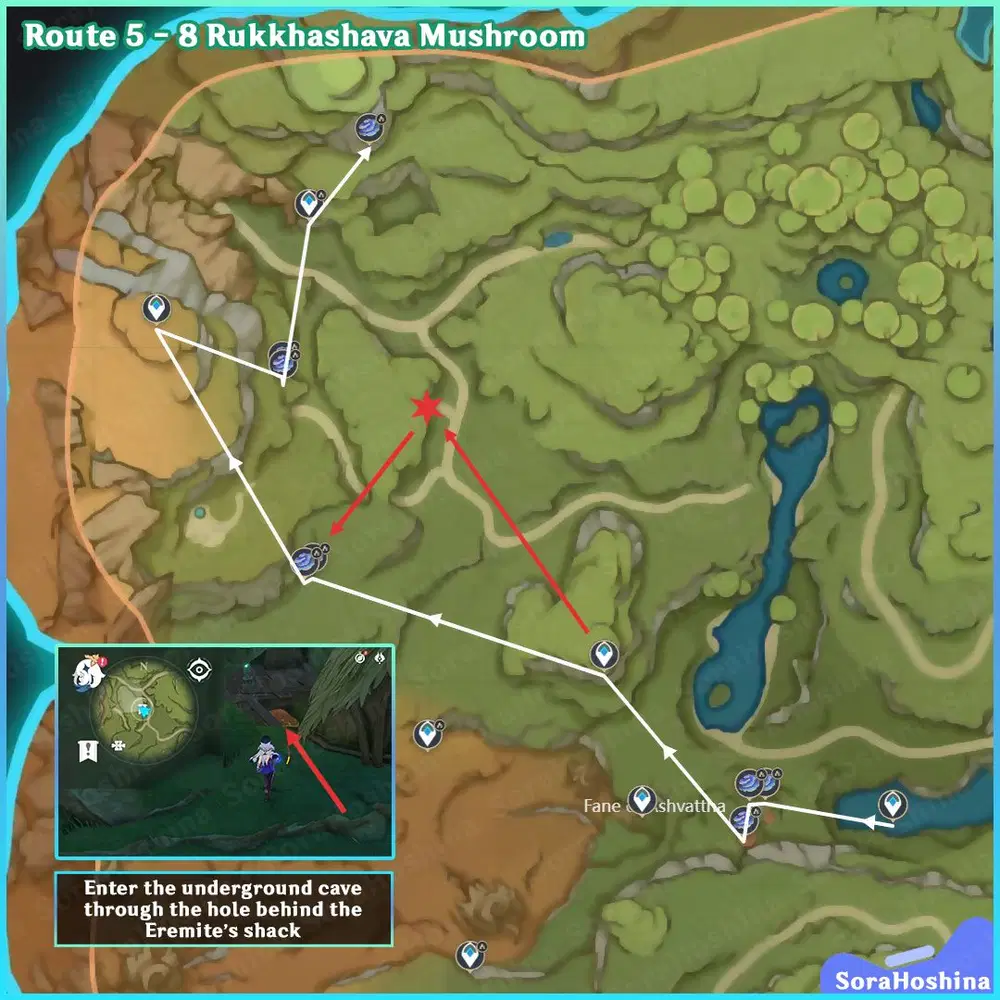 [V3.3] All 87 Rukkhashava Mushroom Location & Farming Guide | Wanderer ...