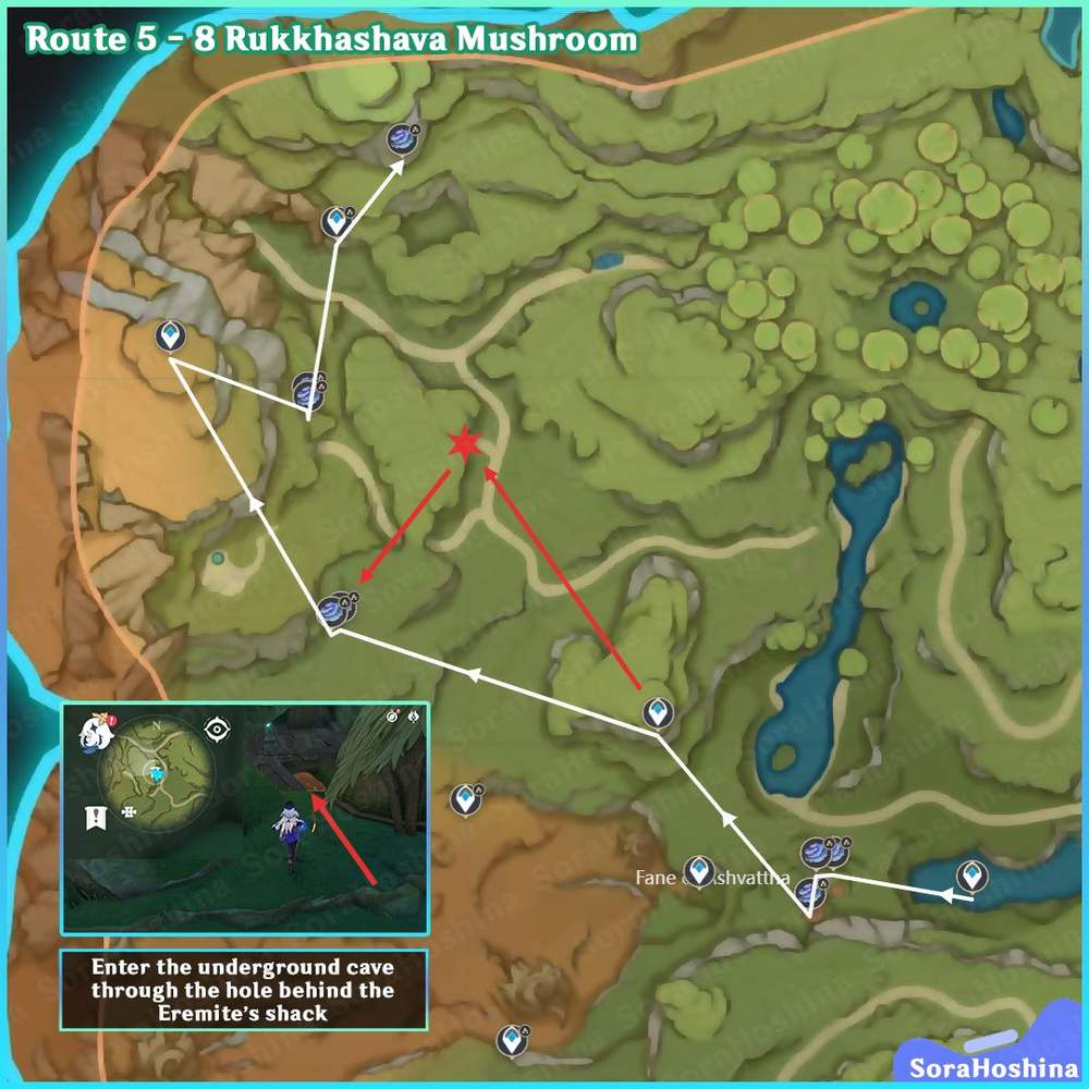 [V3.3] All 87 Rukkhashava Mushroom Location & Farming Guide | Wanderer ...