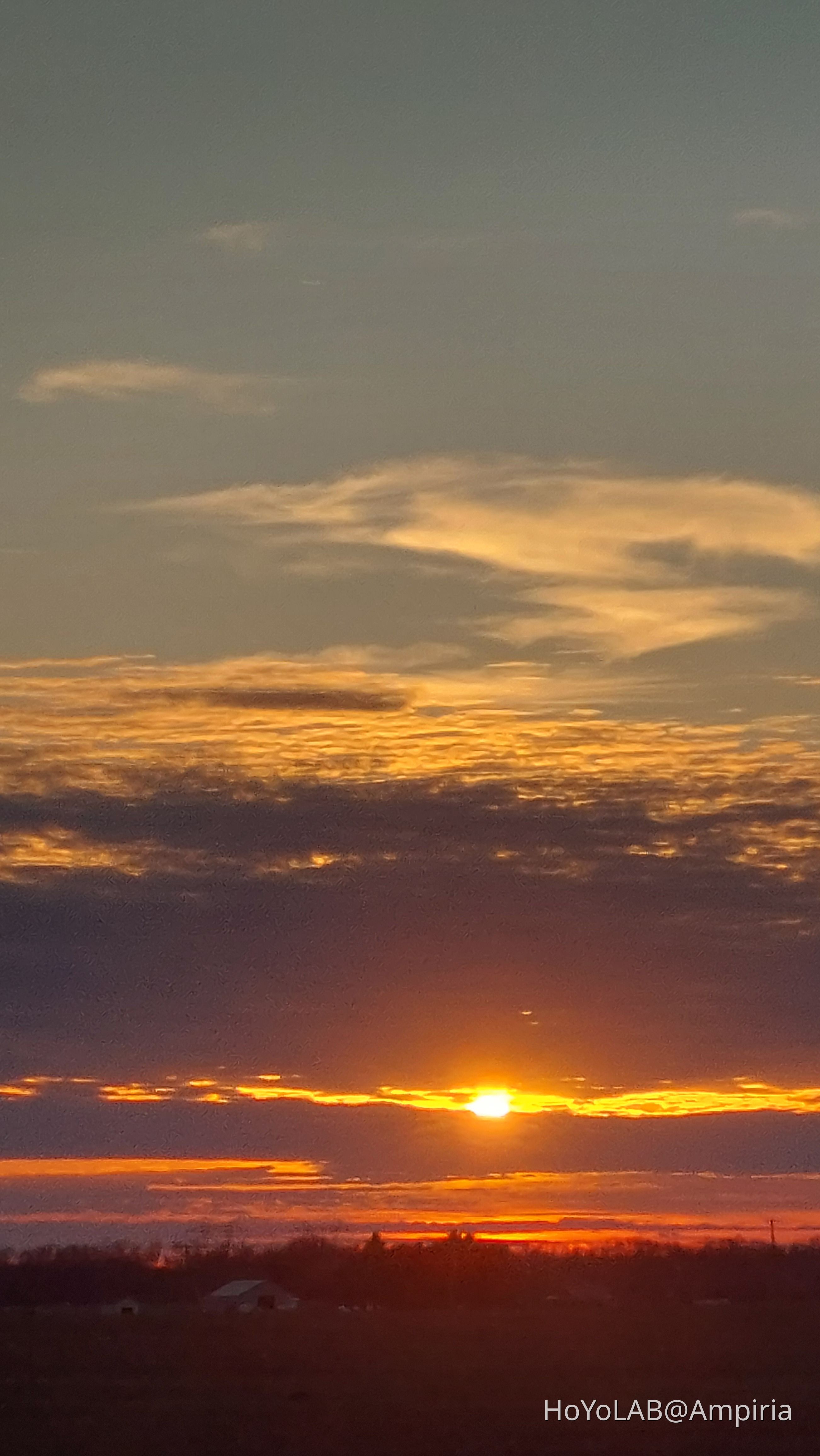 The Sunsettt | HoYoLAB