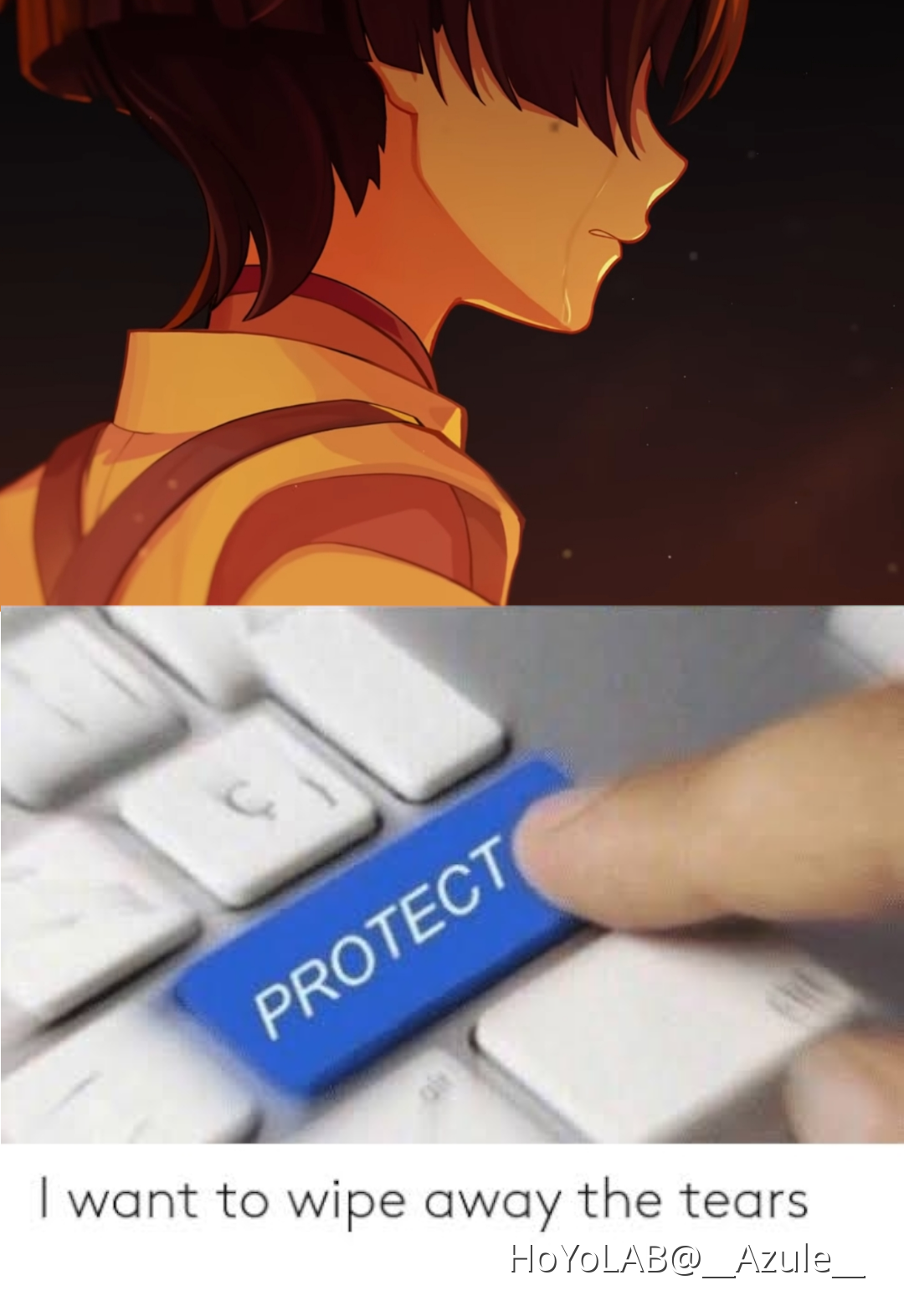 Must protect at all cost Genshin Impact | HoYoLAB