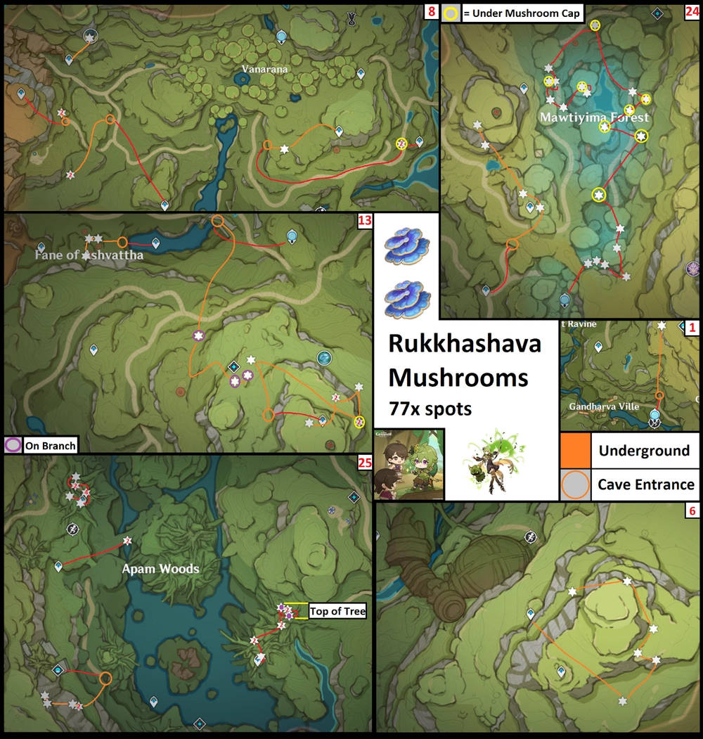 [V3.3 First Half Characters] Farming Routes Collection - Wanderer ...