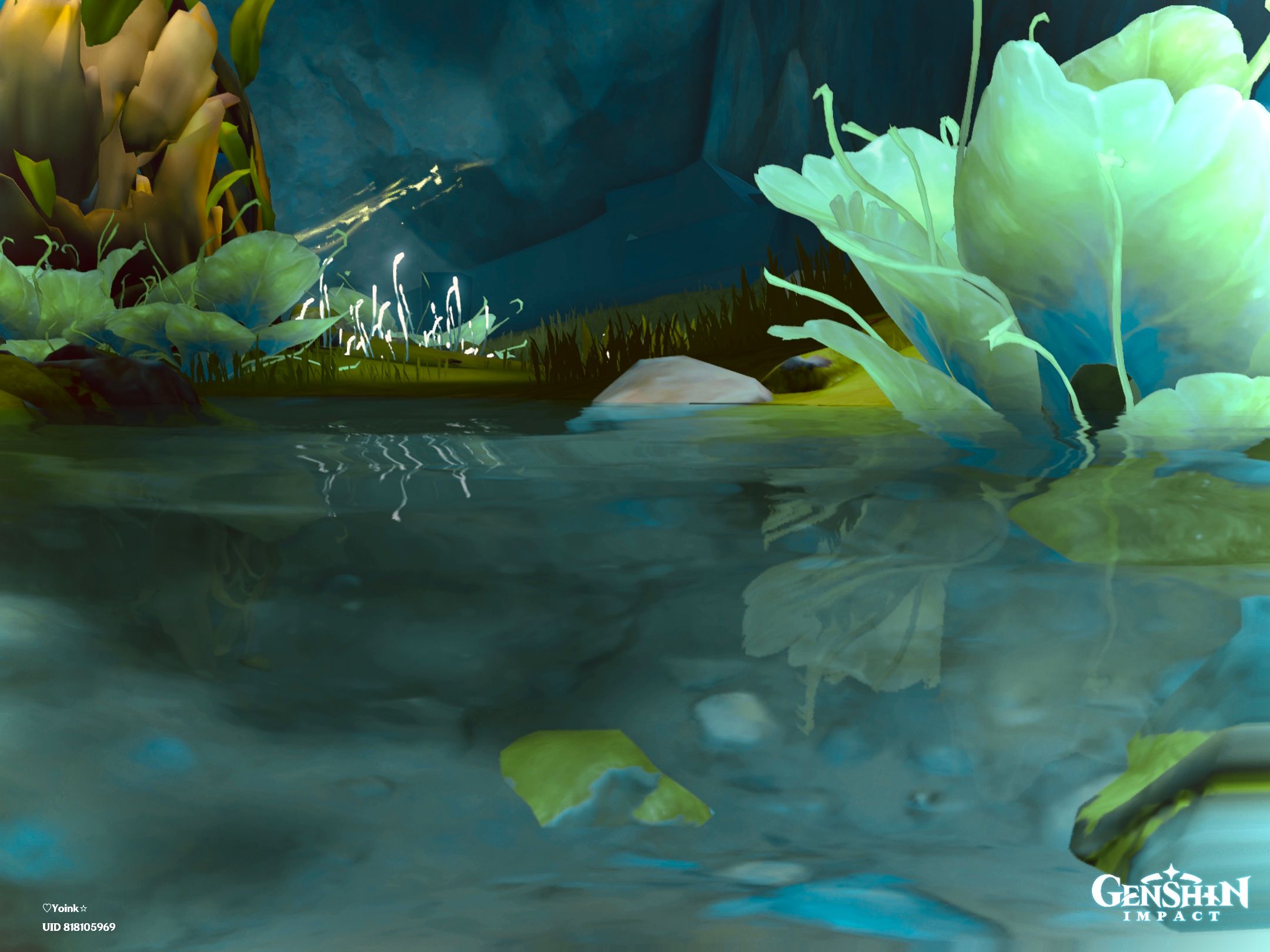 Sumeru underground Genshin Impact | HoYoLAB