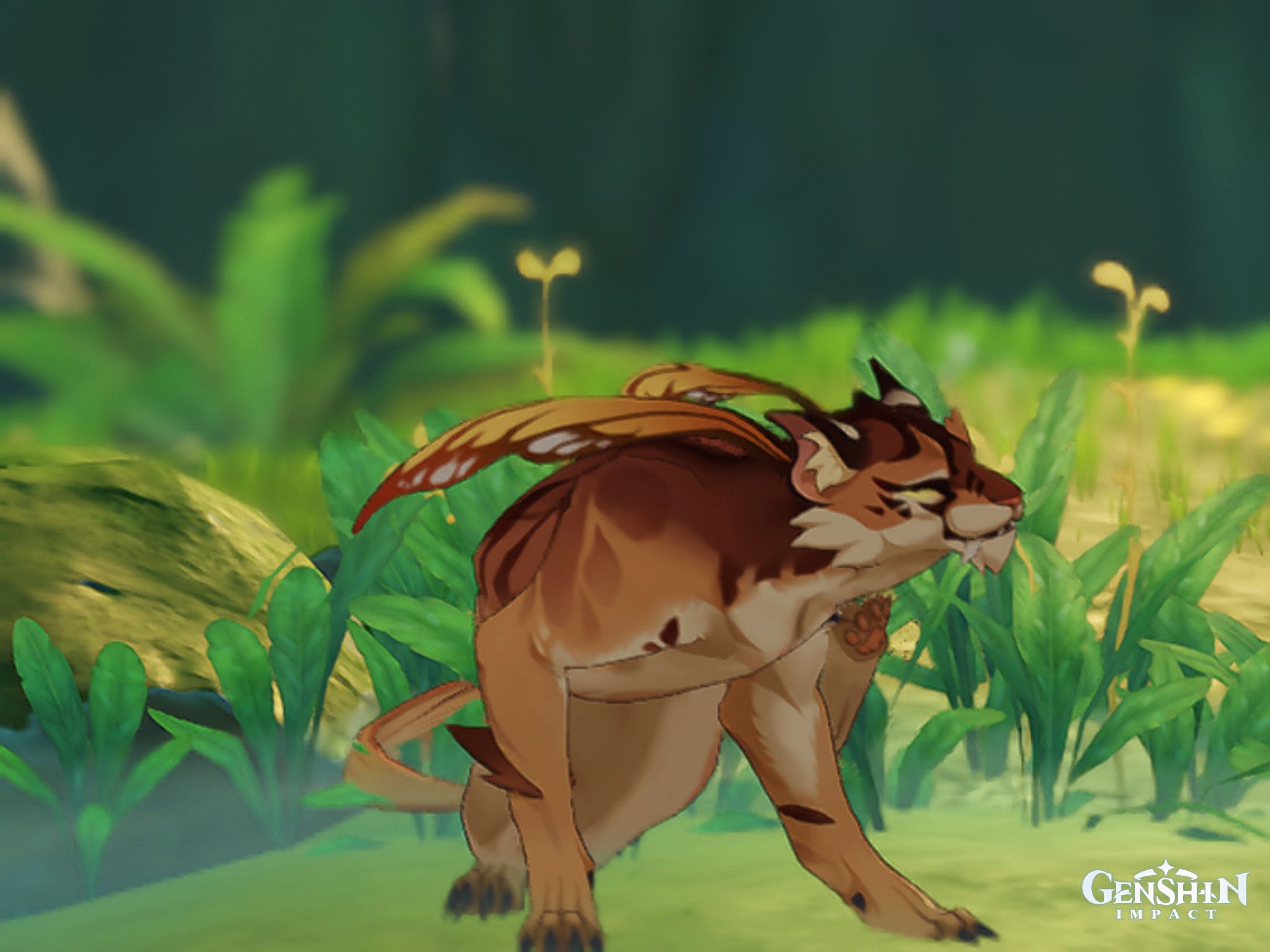 Sumeru cats Genshin Impact | HoYoLAB