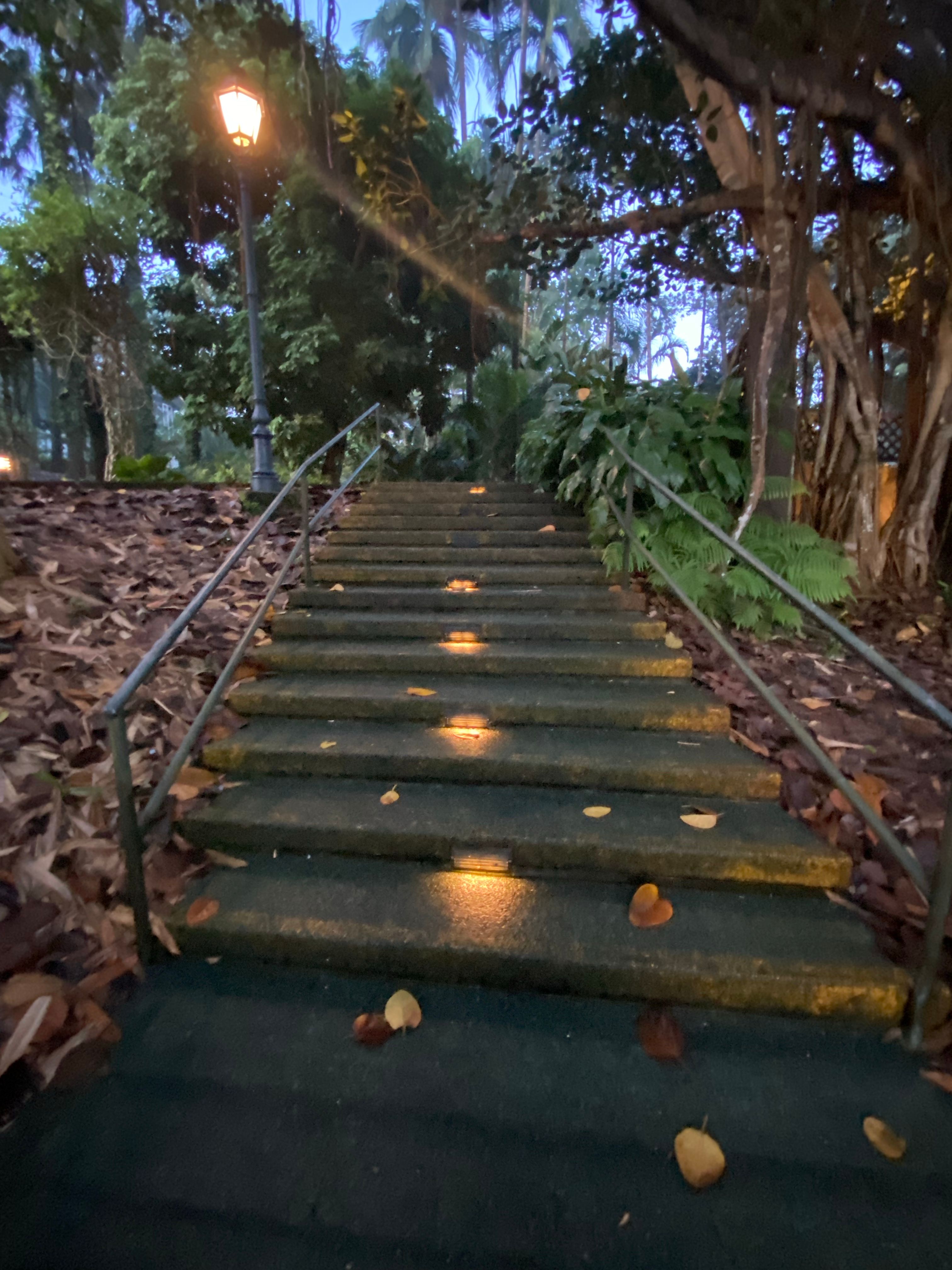 Sumeru in real life! Genshin Impact | HoYoLAB