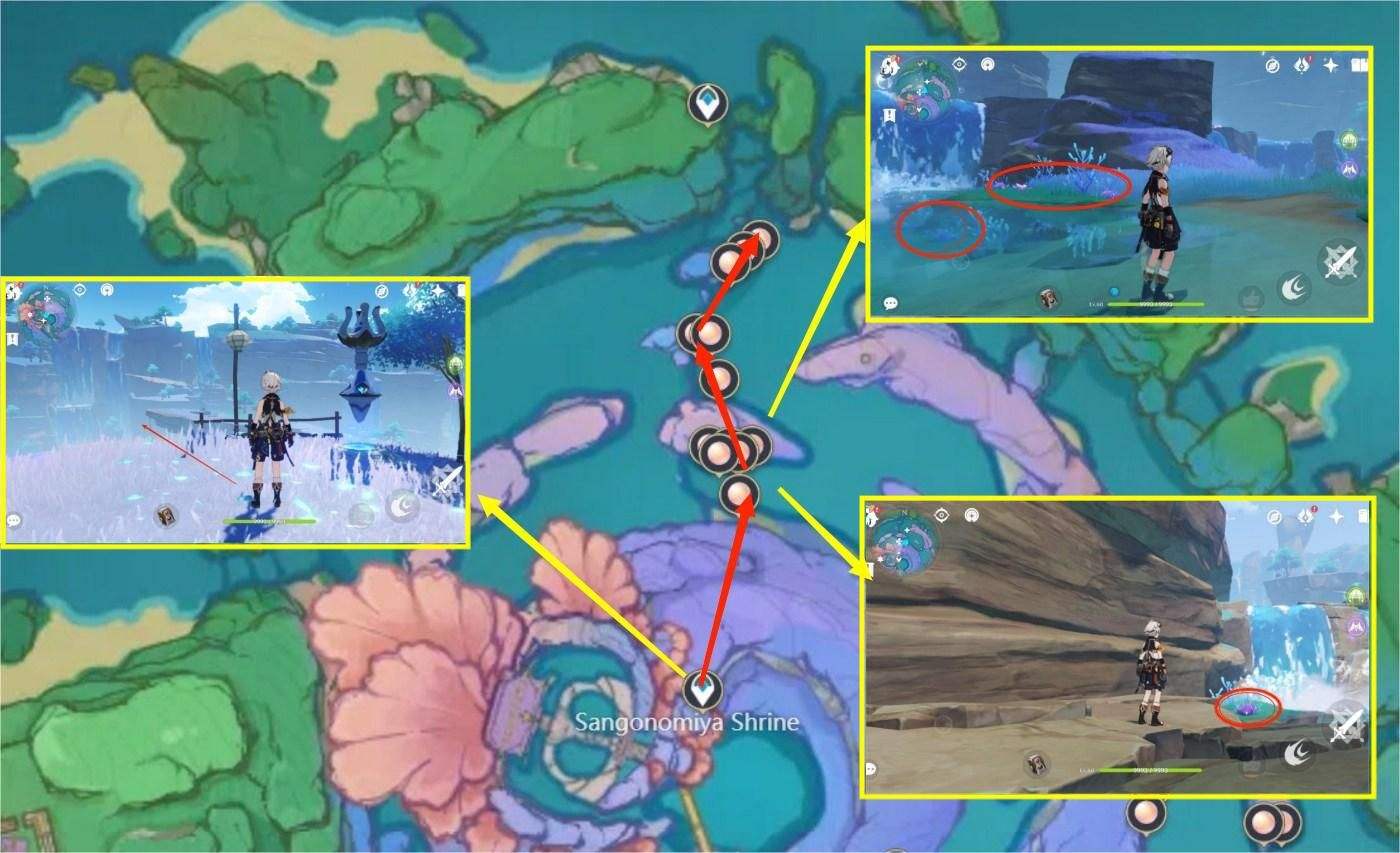 Optimal Collection Path of Sango Pearl Genshin Impact | HoYoLAB