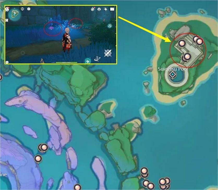 Optimal Collection Path of Sango Pearl Genshin Impact | HoYoLAB