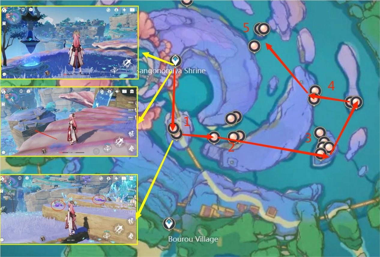 Optimal Collection Path of Sango Pearl Genshin Impact | HoYoLAB