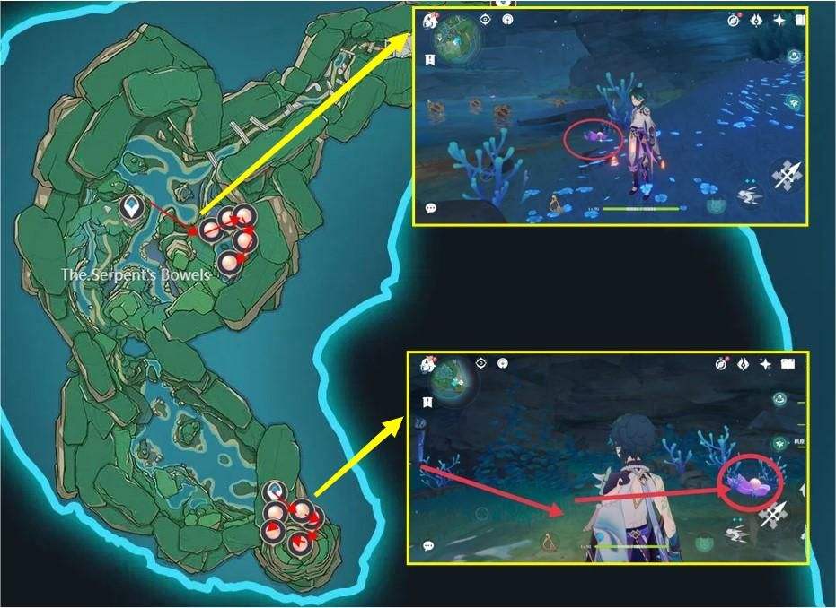 Optimal Collection Path of Sango Pearl Genshin Impact | HoYoLAB