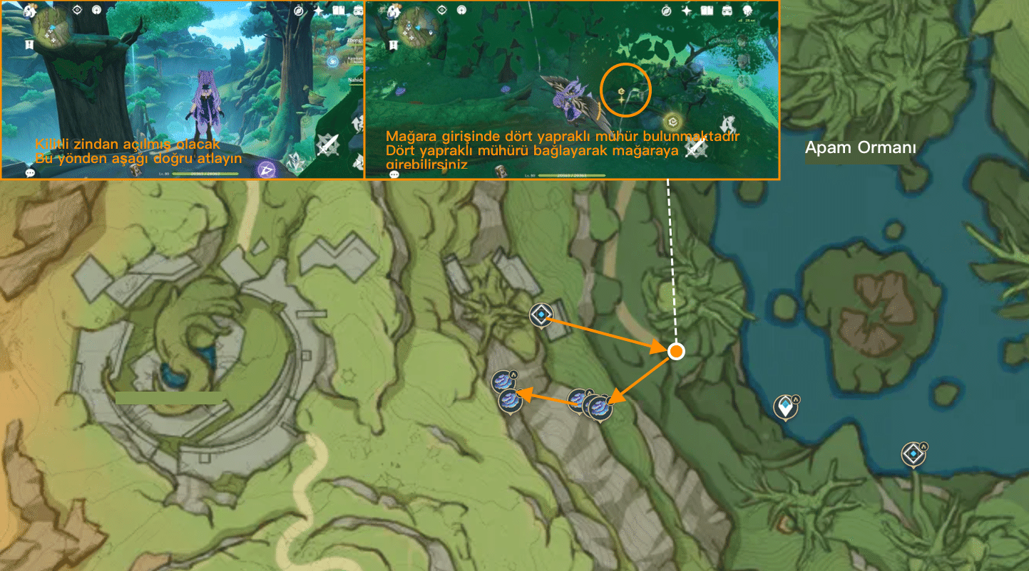 Rukkhashava Mushrooms Toplama Rotası Stratejisi Genshin Impact | HoYoLAB