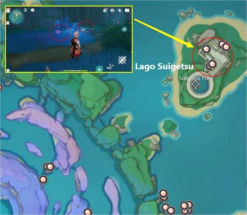 Percorso di raccolta rapida di Sango Pearl Genshin Impact | HoYoLAB