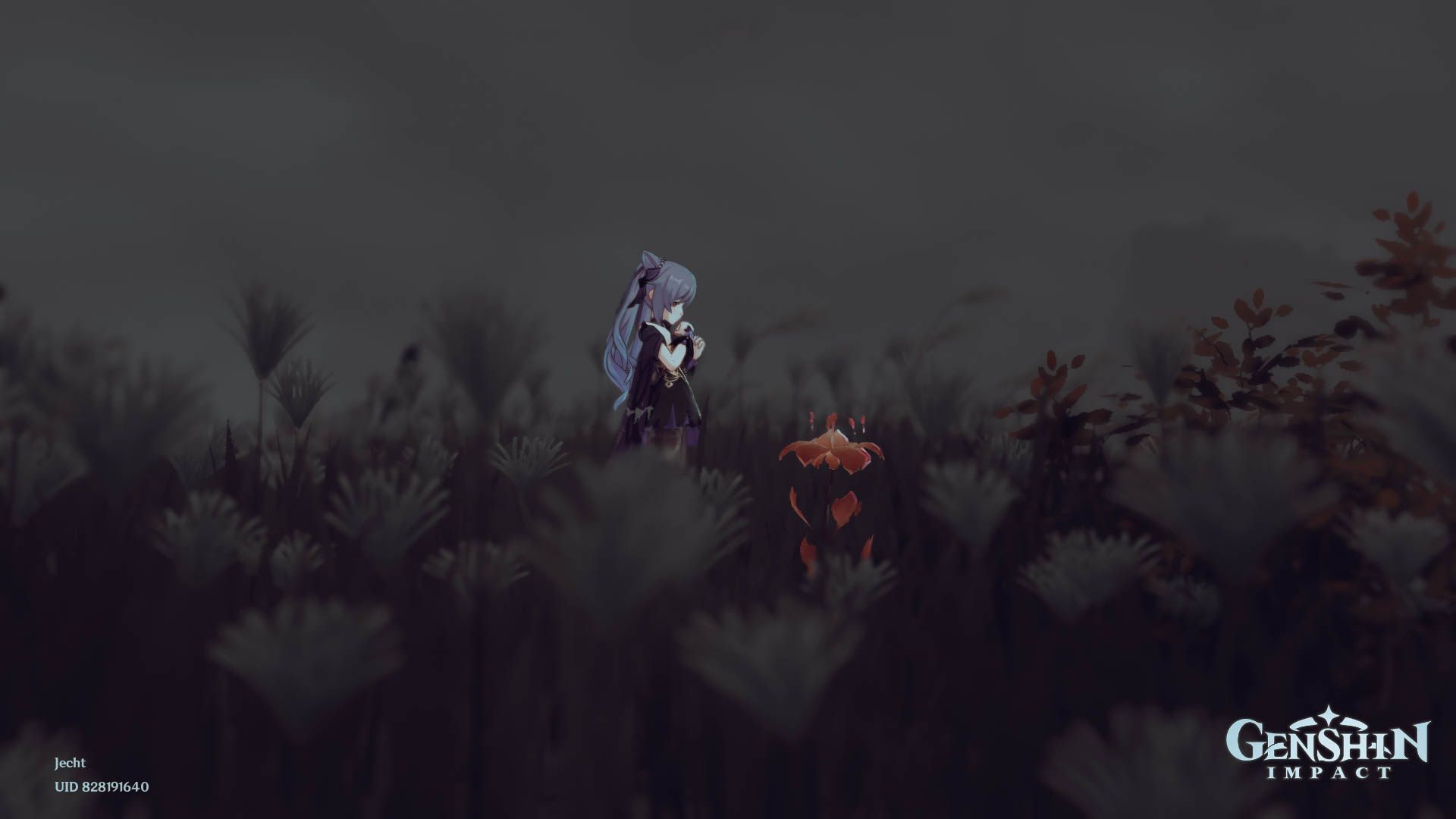 Yuheng of the Liyue Qixing Genshin Impact | HoYoLAB