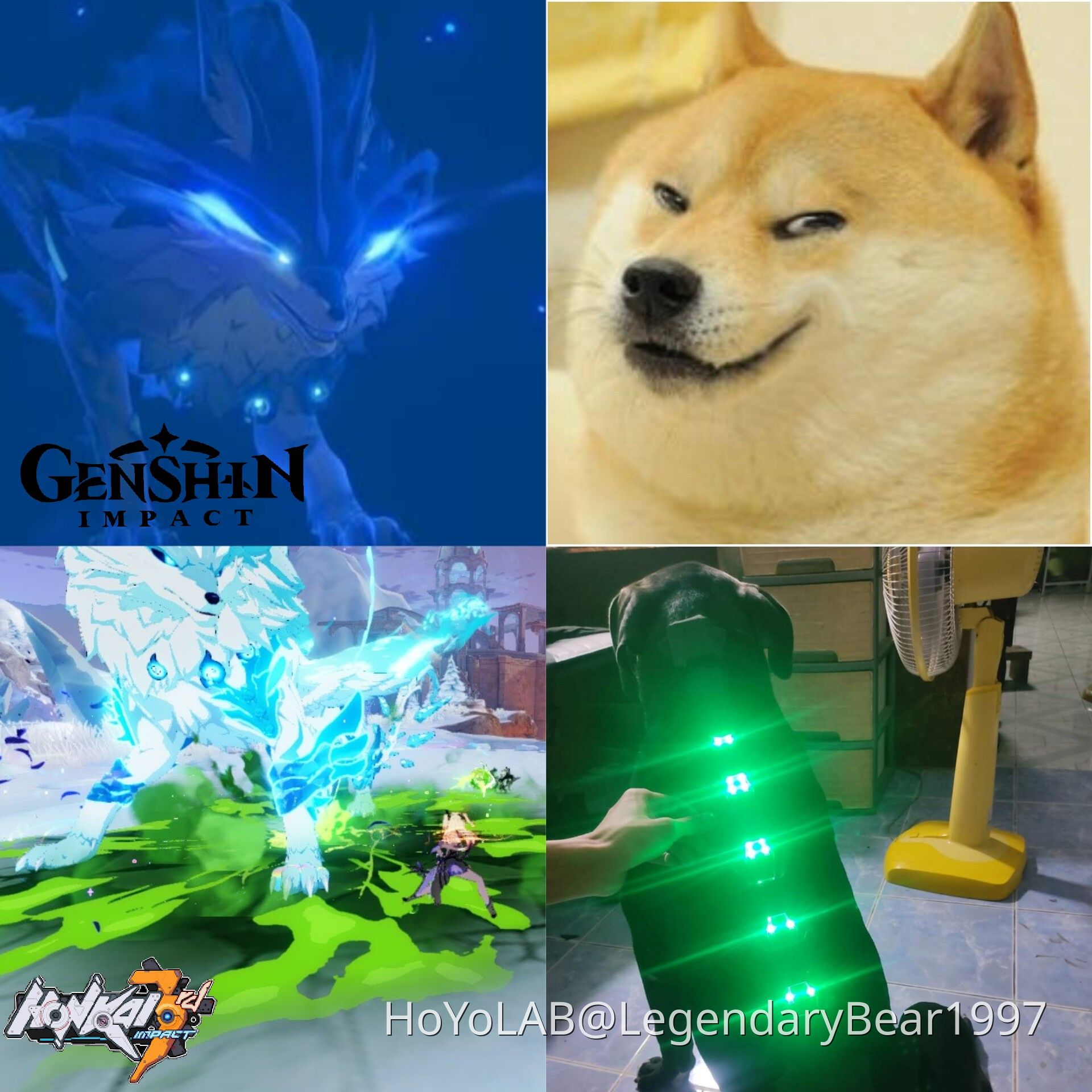 Dominator of wolves Genshin Impact | HoYoLAB