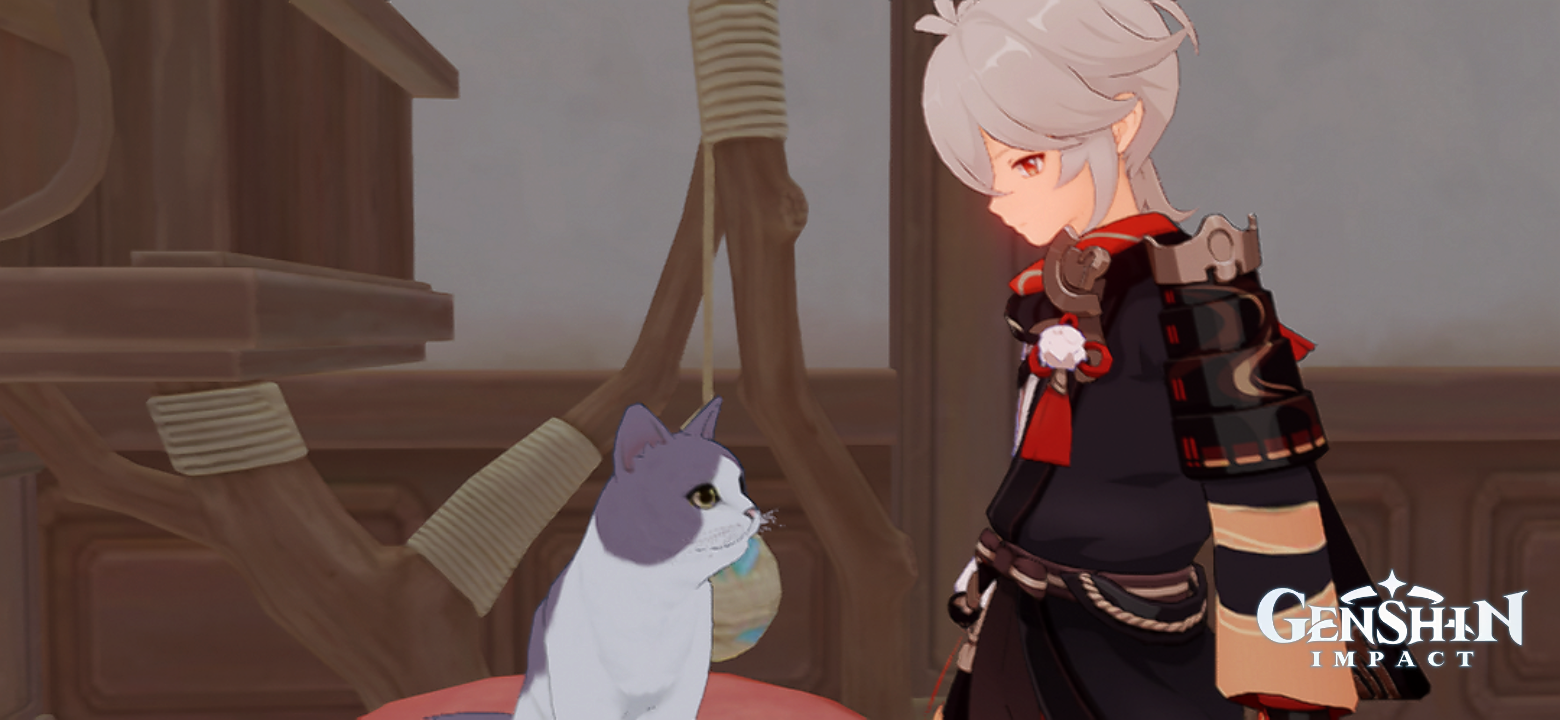 Kazuha and a cat Genshin Impact | HoYoLAB
