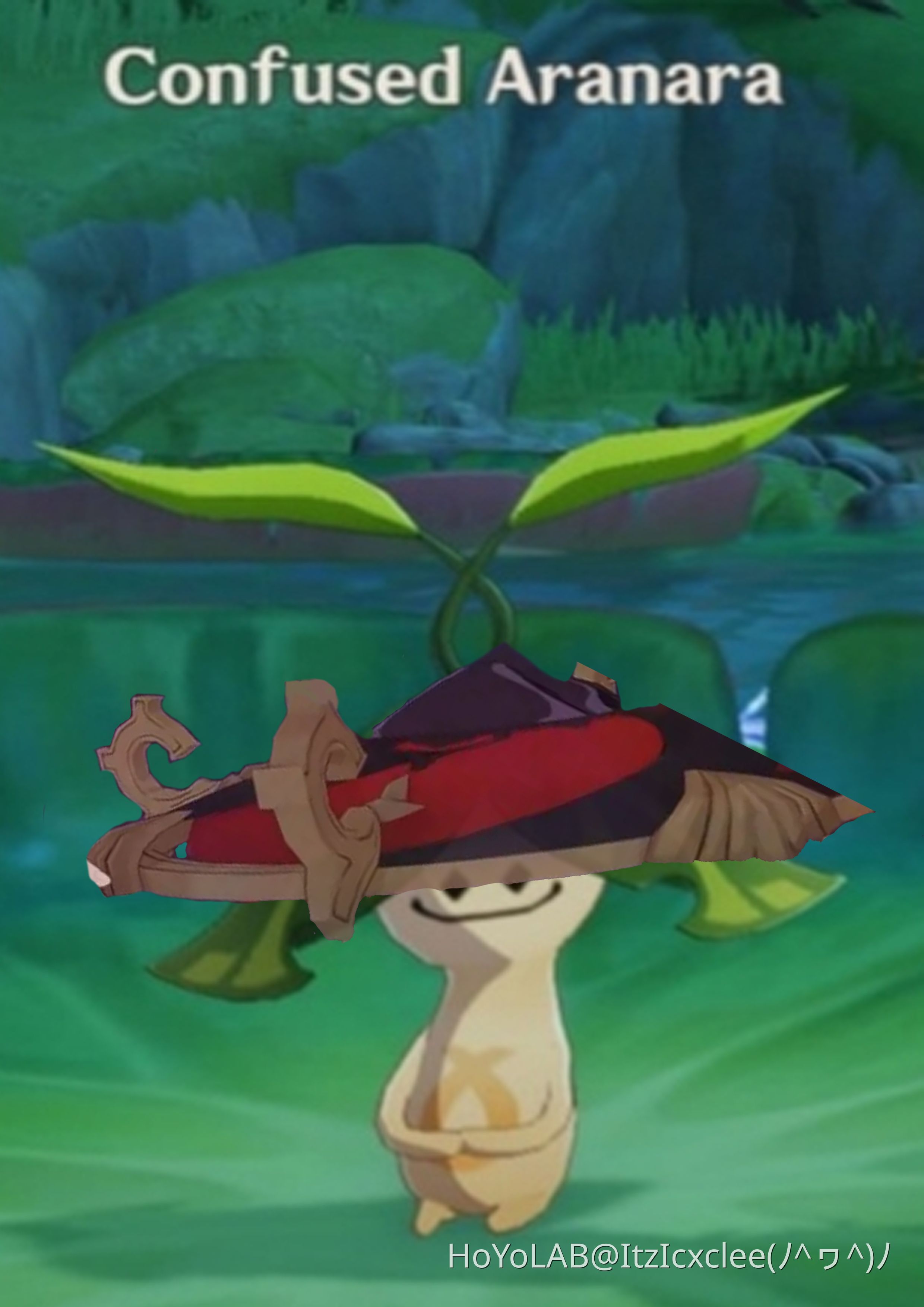 Confused Scaranara Genshin Impact | HoYoLAB