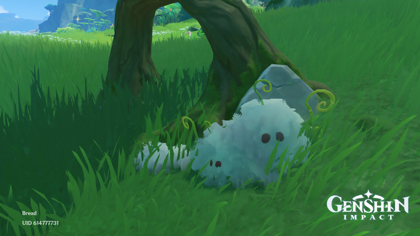 White Cloud things with eyes in Sumeru Genshin Impact | HoYoLAB