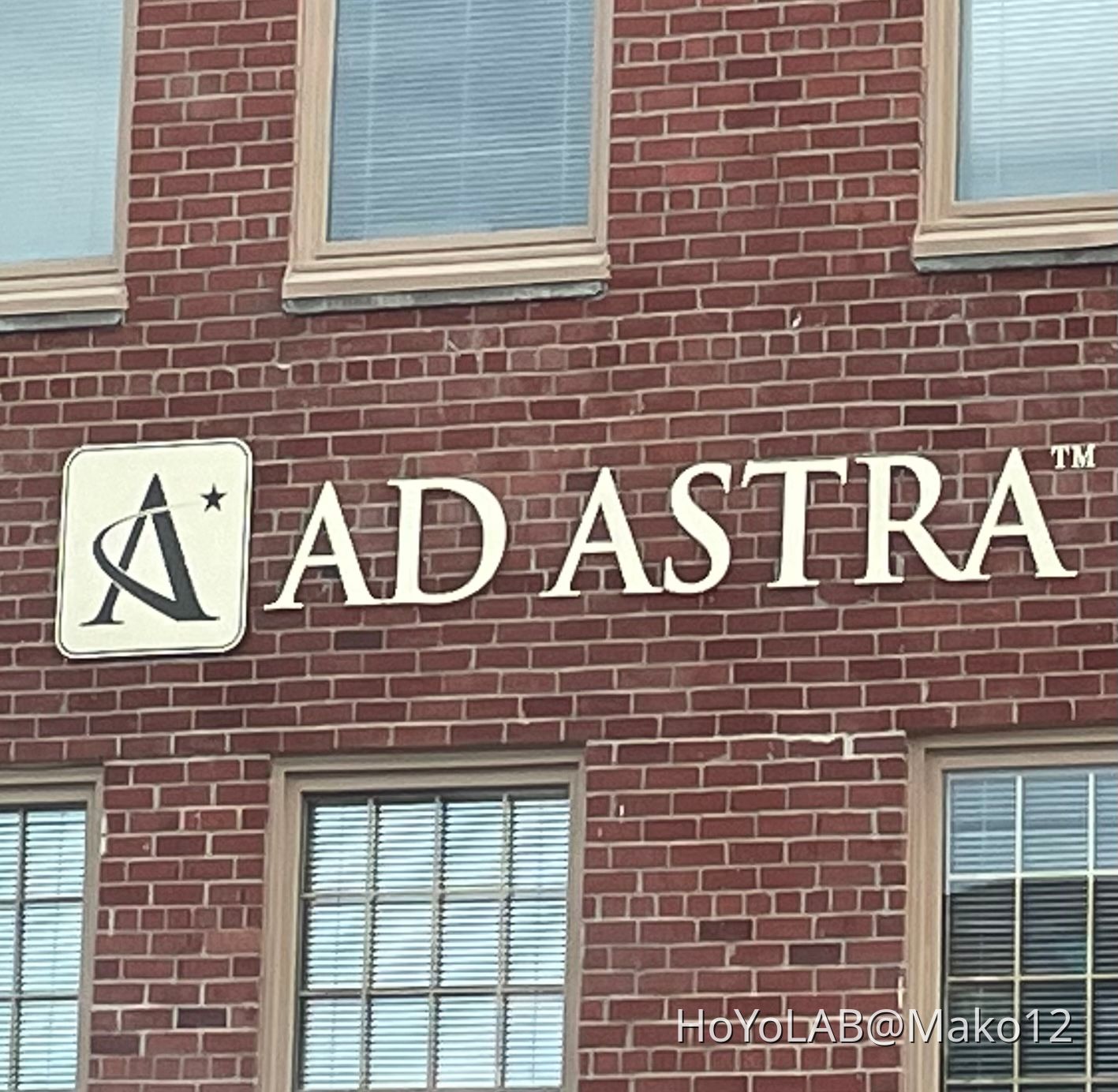 Adventurer’s Guild IRL Genshin Impact | HoYoLAB