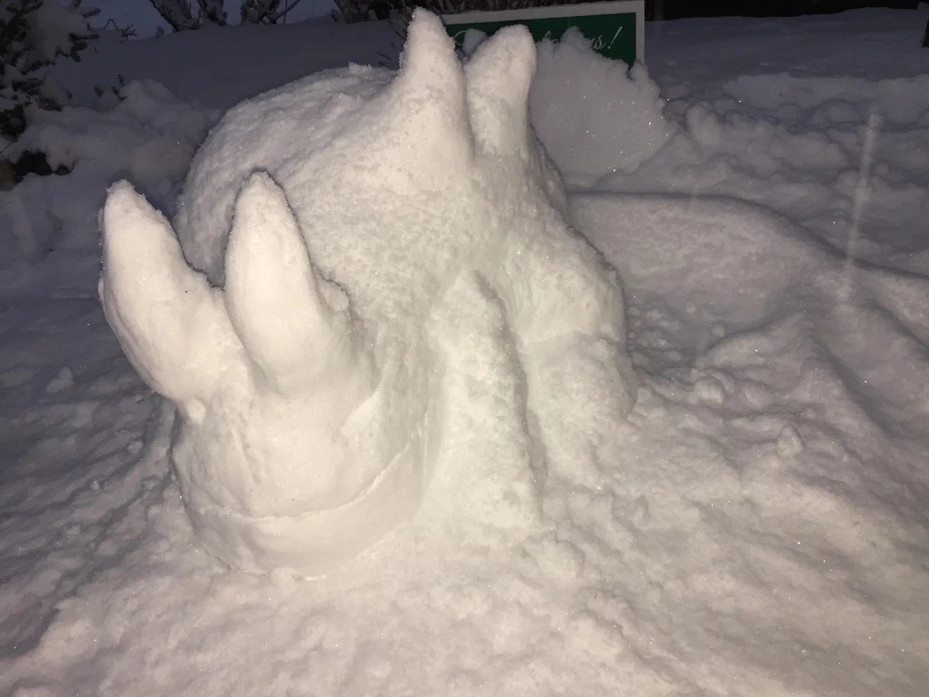 12/12/22- Azhdaha Snow...toad? Round Lizard? Genshin Impact | HoYoLAB