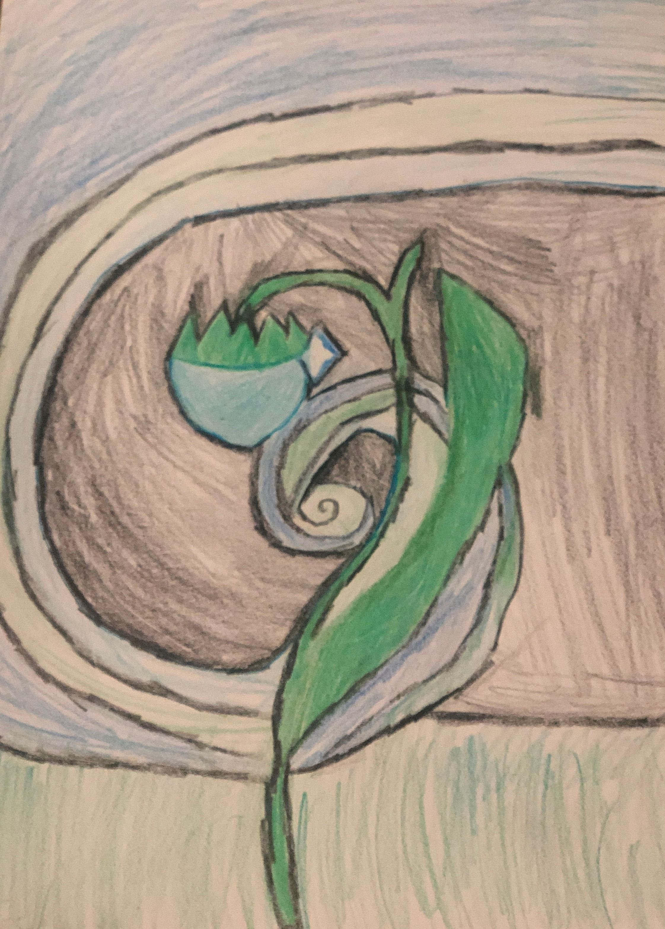 Lamp grass Genshin Impact | HoYoLAB