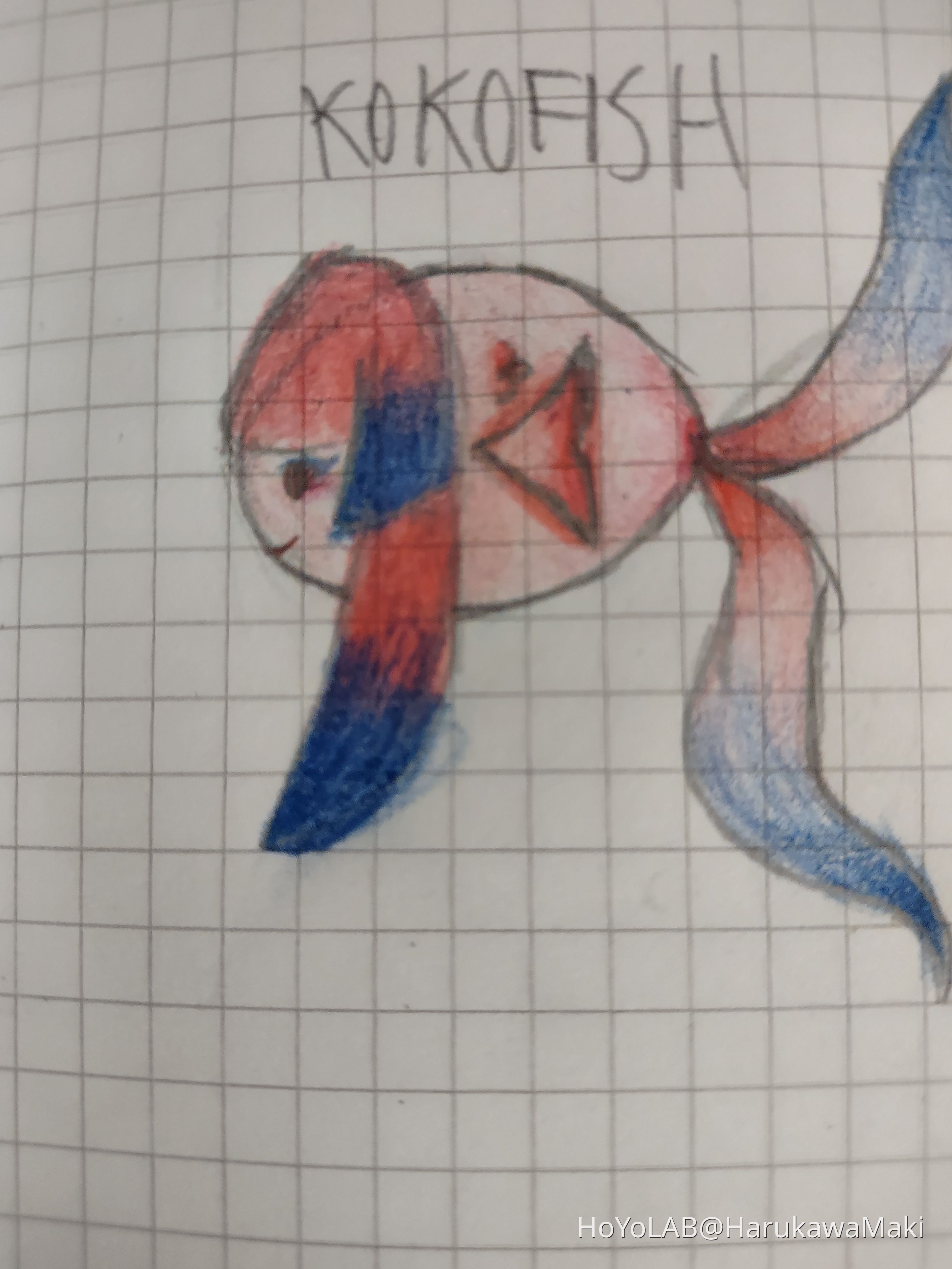 Kokofish Genshin Impact | HoYoLAB