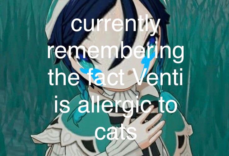 Venti’s ALLERGIC to cats??? Genshin Impact | HoYoLAB