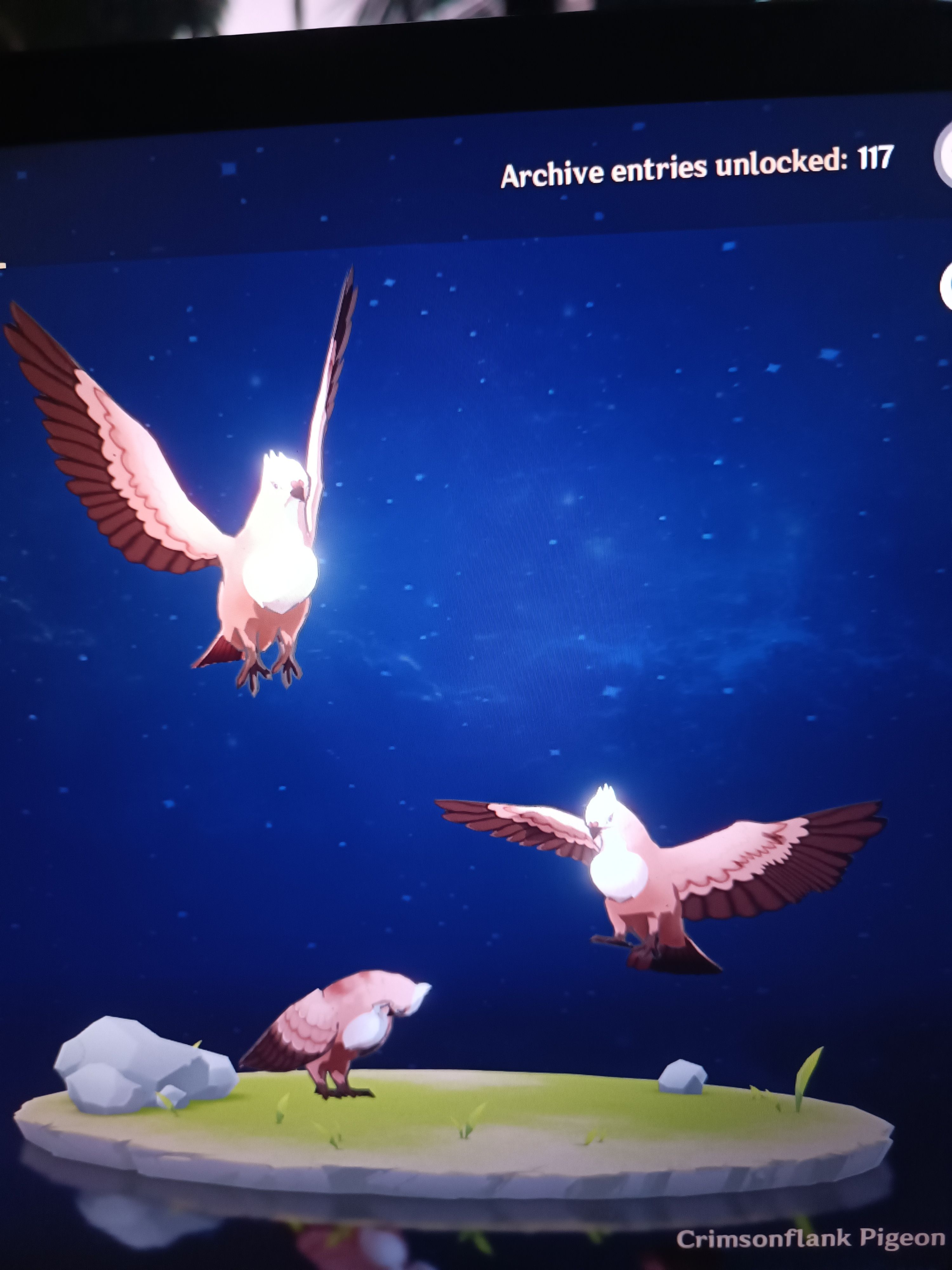 rarest pigeon in genshin Genshin Impact | HoYoLAB